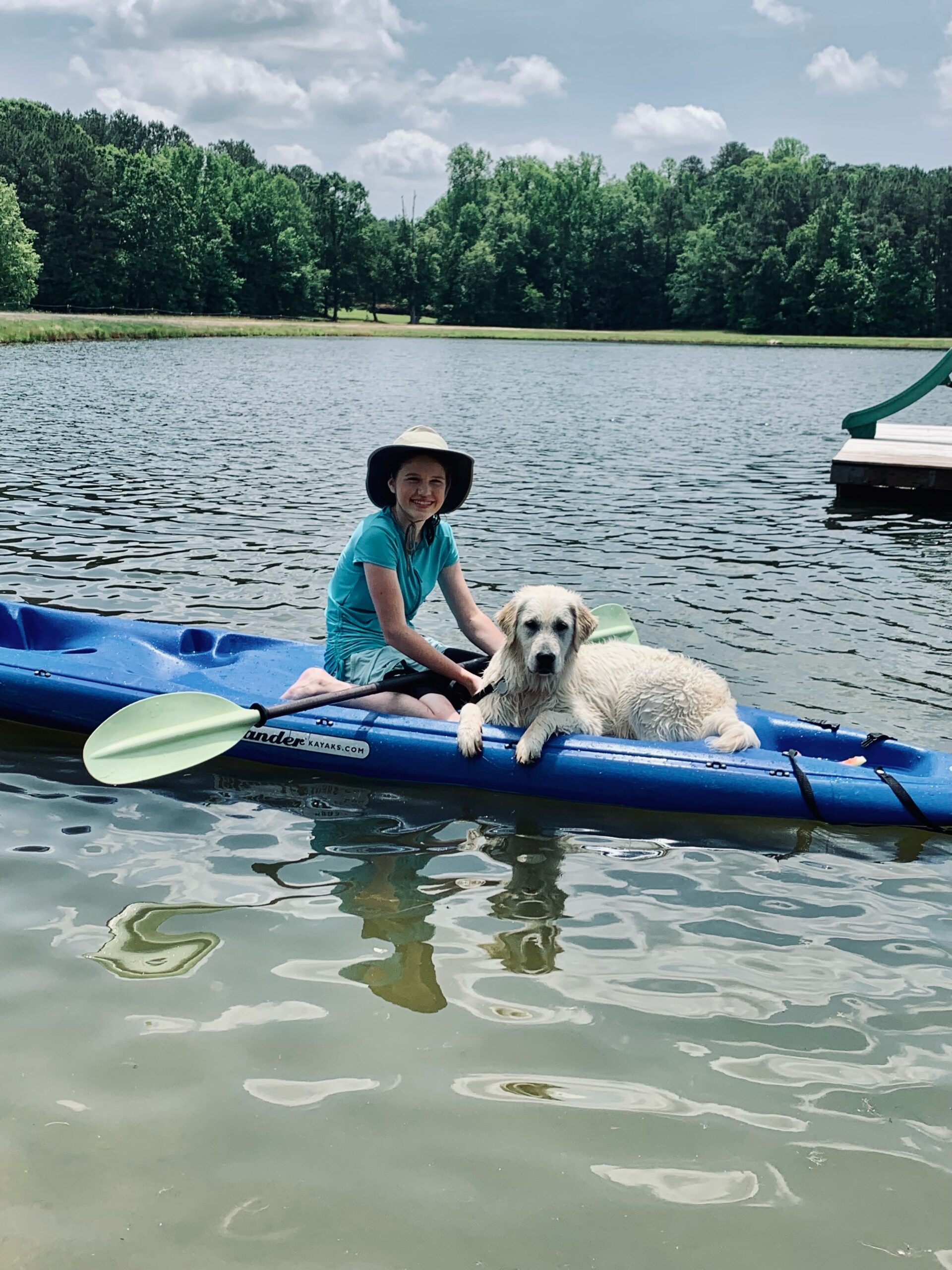 Photo Gallery – Carolina Cream Pups